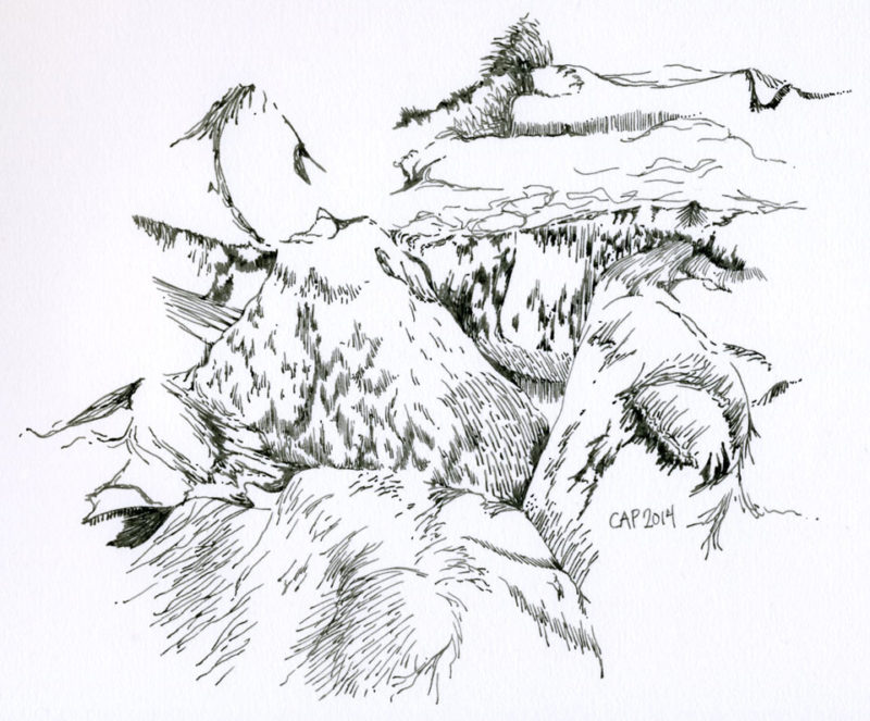 Weeknight Pen and Ink – Carolyn A Pappas