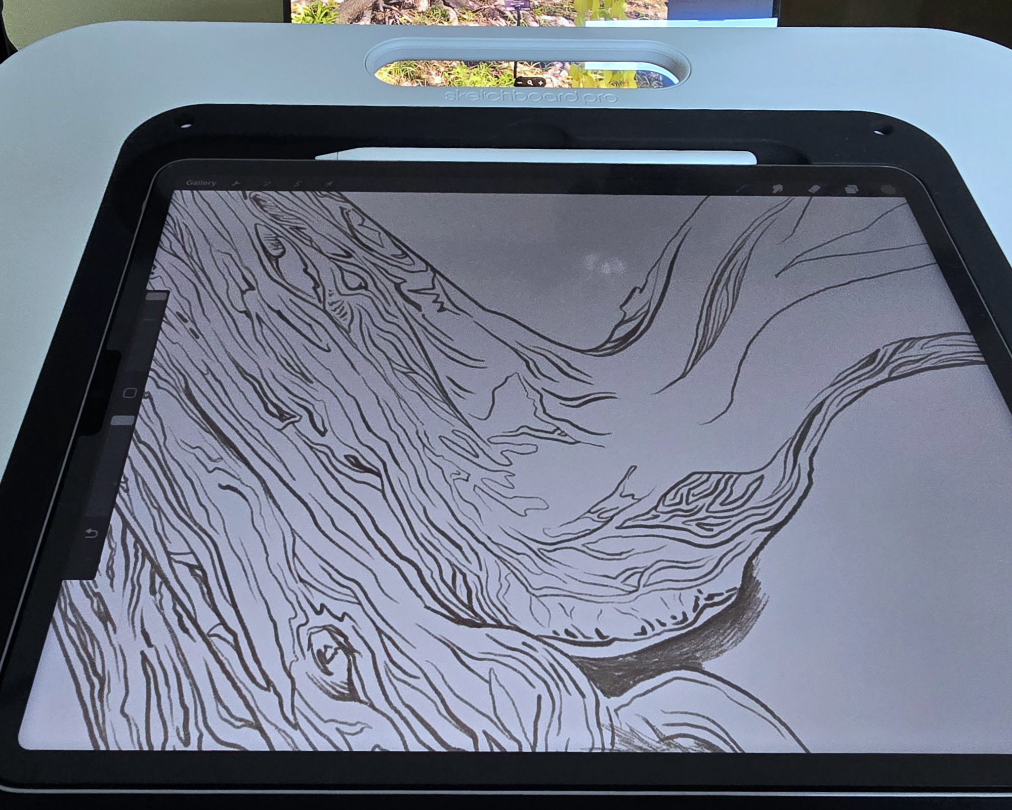 Blog – Carolyn A Pappas